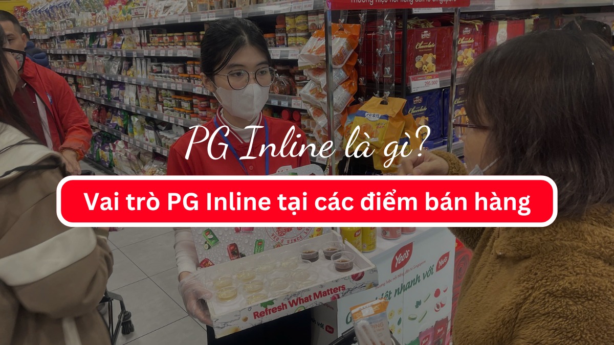 PG Inline là gì? Tại sao cần thiết? | Công ty cung cấp PG Inline